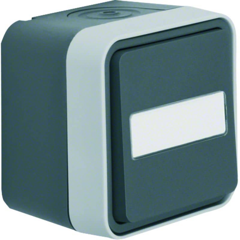 Taster, Wechsler AP Berker W.1 grau/lichtgrau matt, Berker 50763555 ...